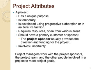 Project Management Overview | PPTX | Business | Business and Finance