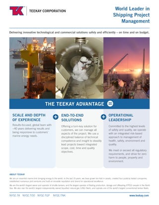 TK Engineering & Consulting - Project Management | PDF