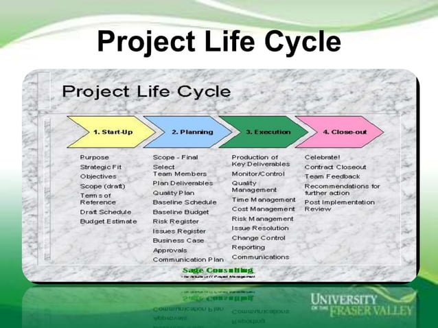 Project management and project life cycle | PPTX | Business | Business and Finance