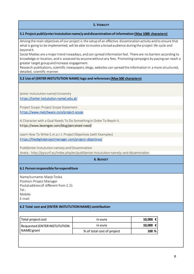 Project Management Application Form (Fully Customizable Template) | DOCX