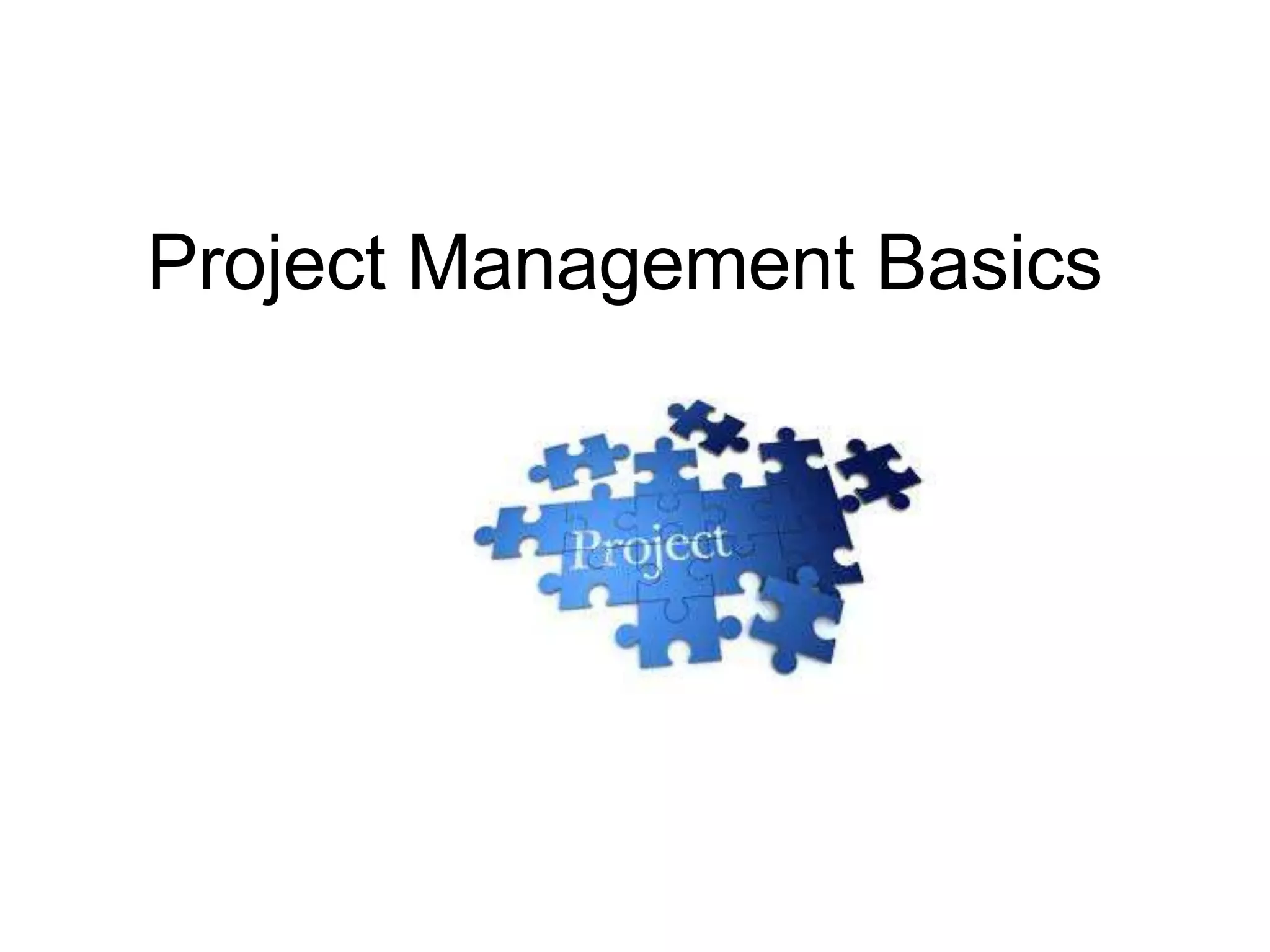 Project management basics | PPT