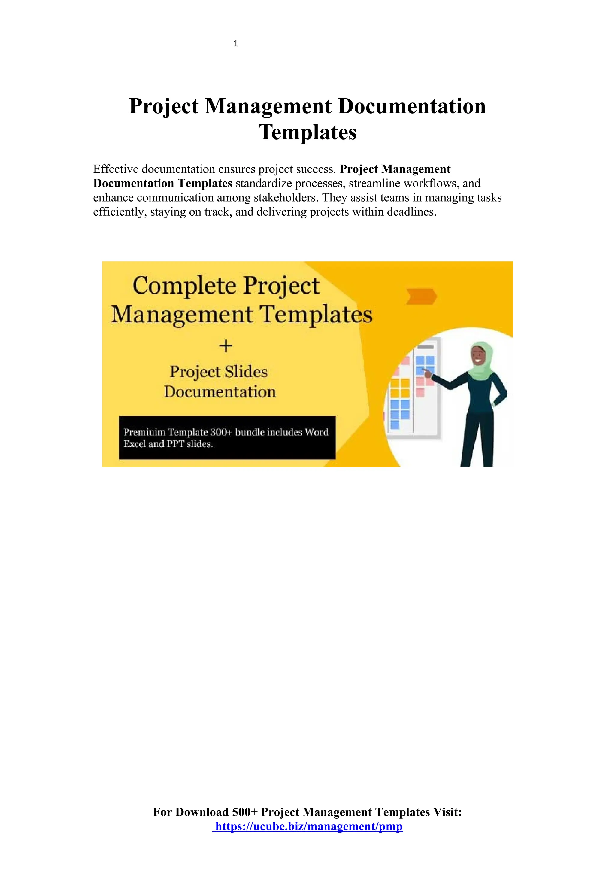 Project Management Documentation Templates Docx