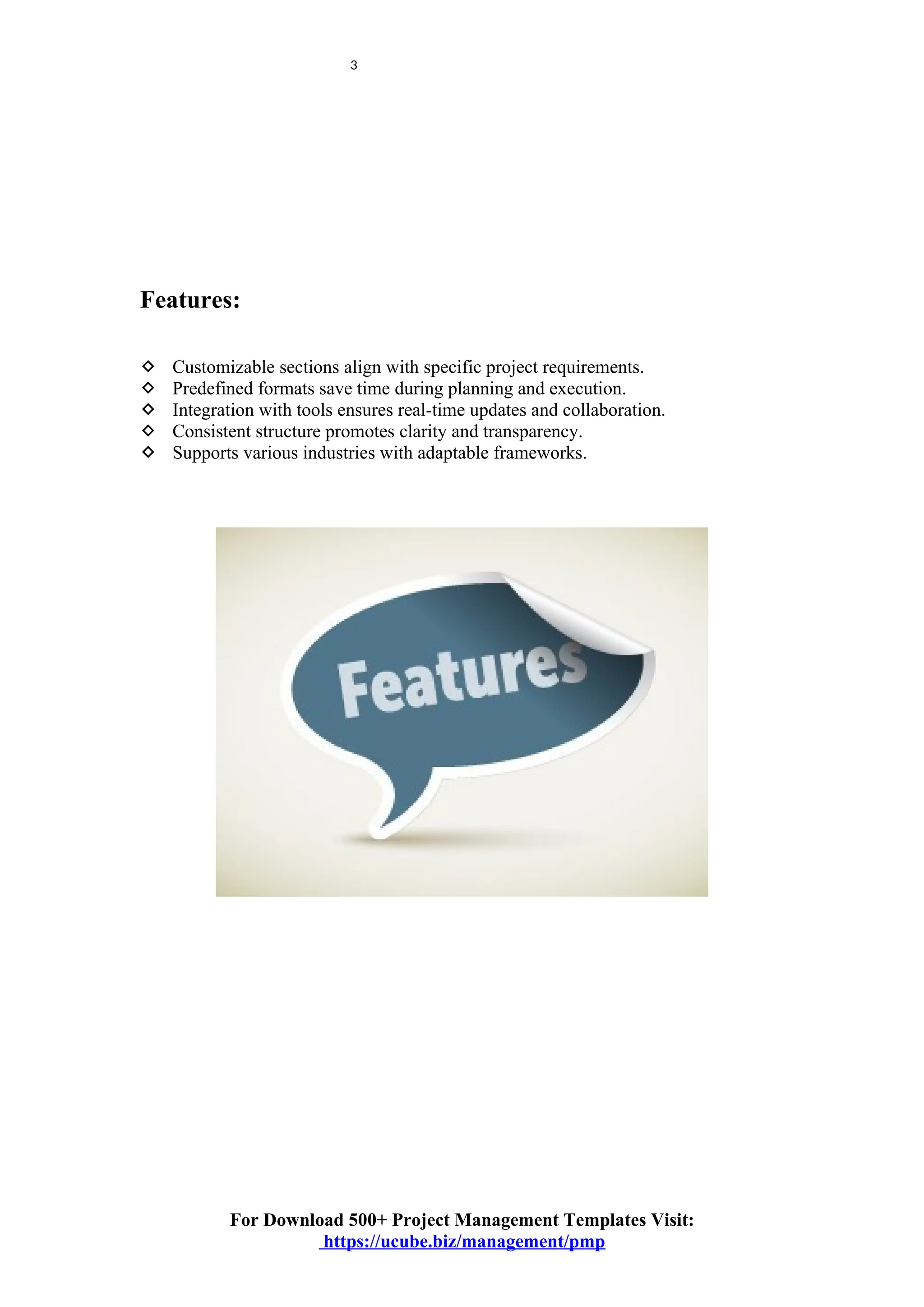 Project Management Documentation Templates Docx