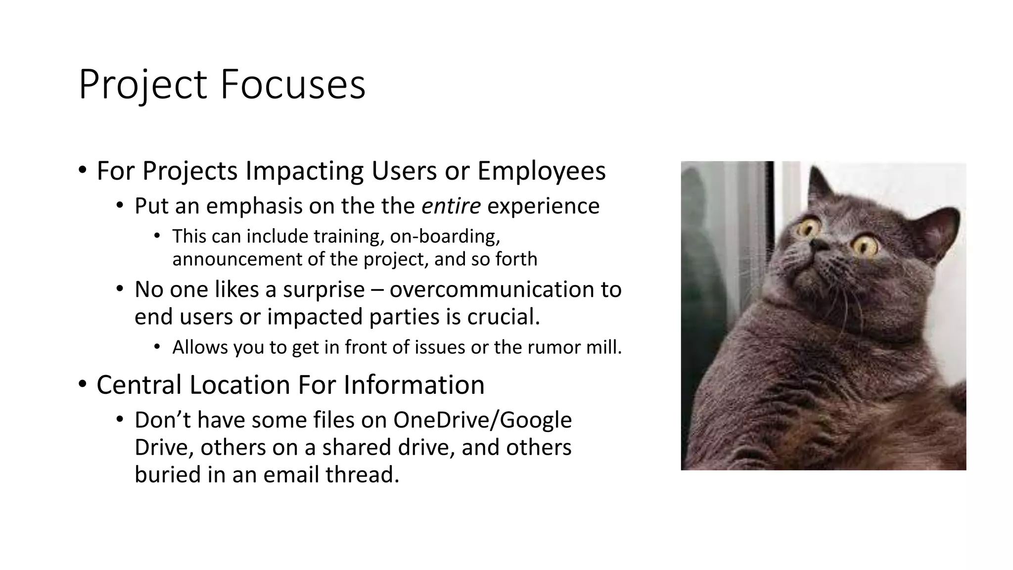 Project Management Basics | PPT