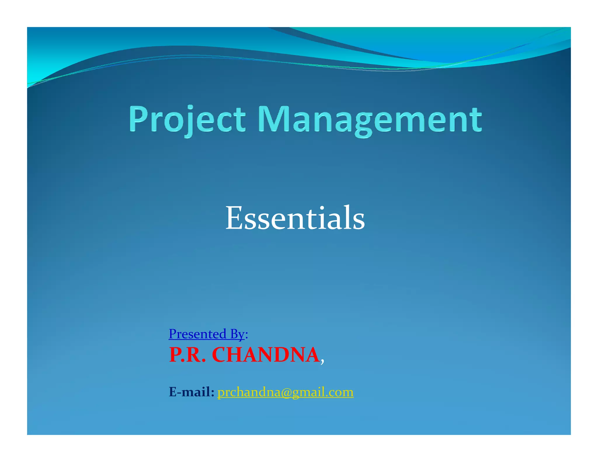 Project Management Essentials | PDF