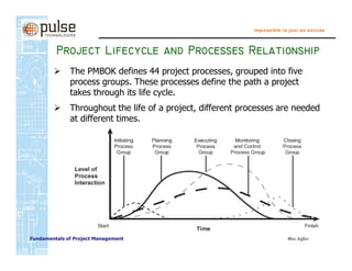 Project management fundamentals | PDF