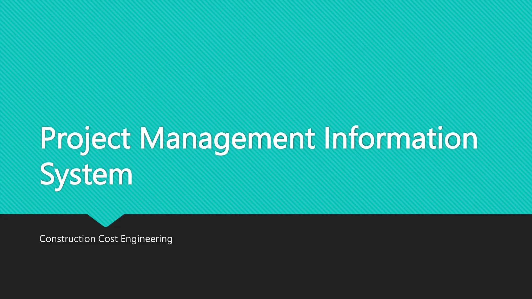 Project Management Information System.pptx