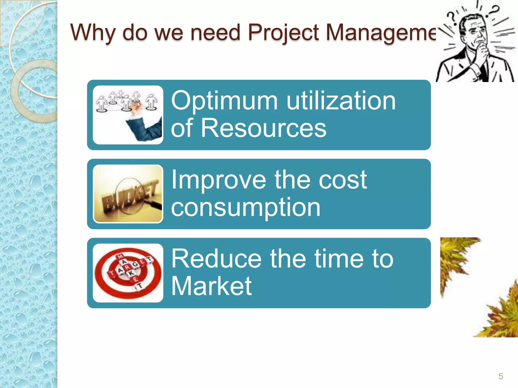 Project management in pharmaceutical generic industry basics and ...