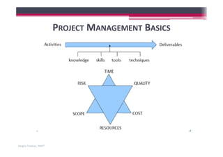 Project Management In Pharmaceutical Industry | PDF