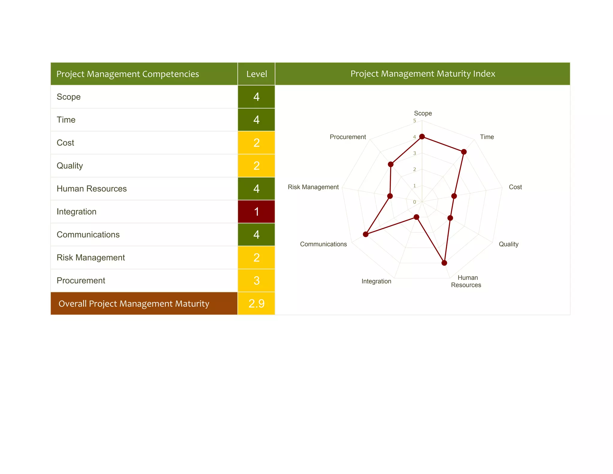 Project Management Maturity Assessment | PDF