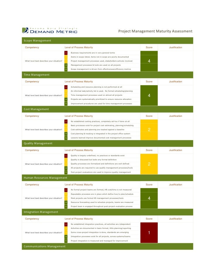 Project Management Maturity Assessment