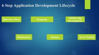 SOFTWARE DEVELOPMENT BUSINESS PLAN | PPTX | Web Development | Internet