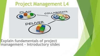 Project Management online sample (1) (1).pptx