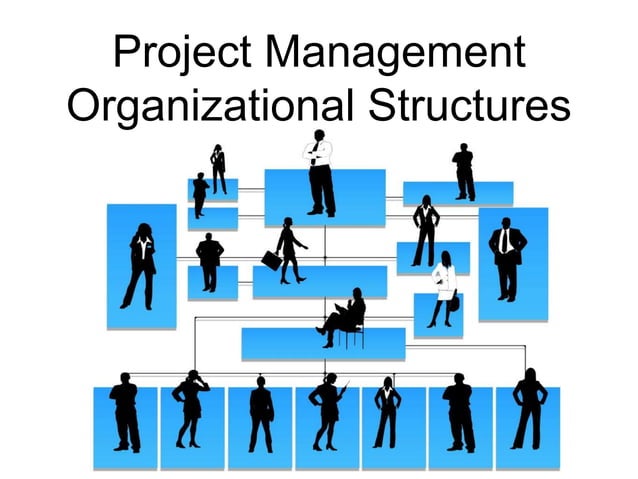 Project Management Organizational Structures | PPTX | Business ...