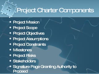 Project Management Overview | PPT | Business | Business and Finance