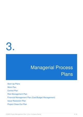 Project Management Plan Template | Upmetrics | PDF
