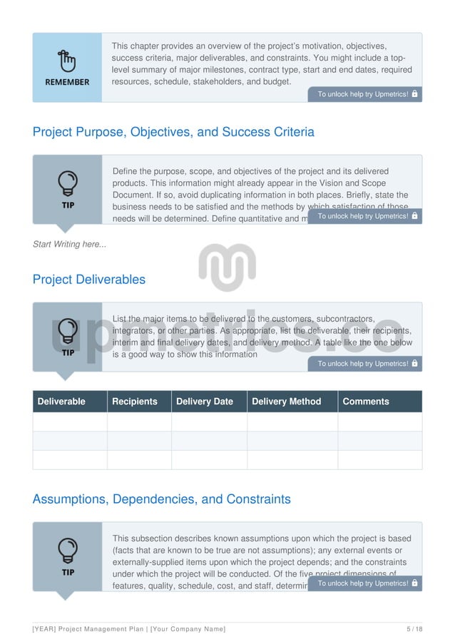 Project Management Plan Template | Upmetrics | PDF