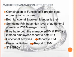 Project management presentaion slides | PPT