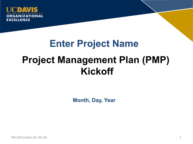 Project Management Presentation Template.pdf