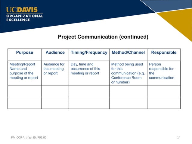 Project Management Presentation Template.pdf