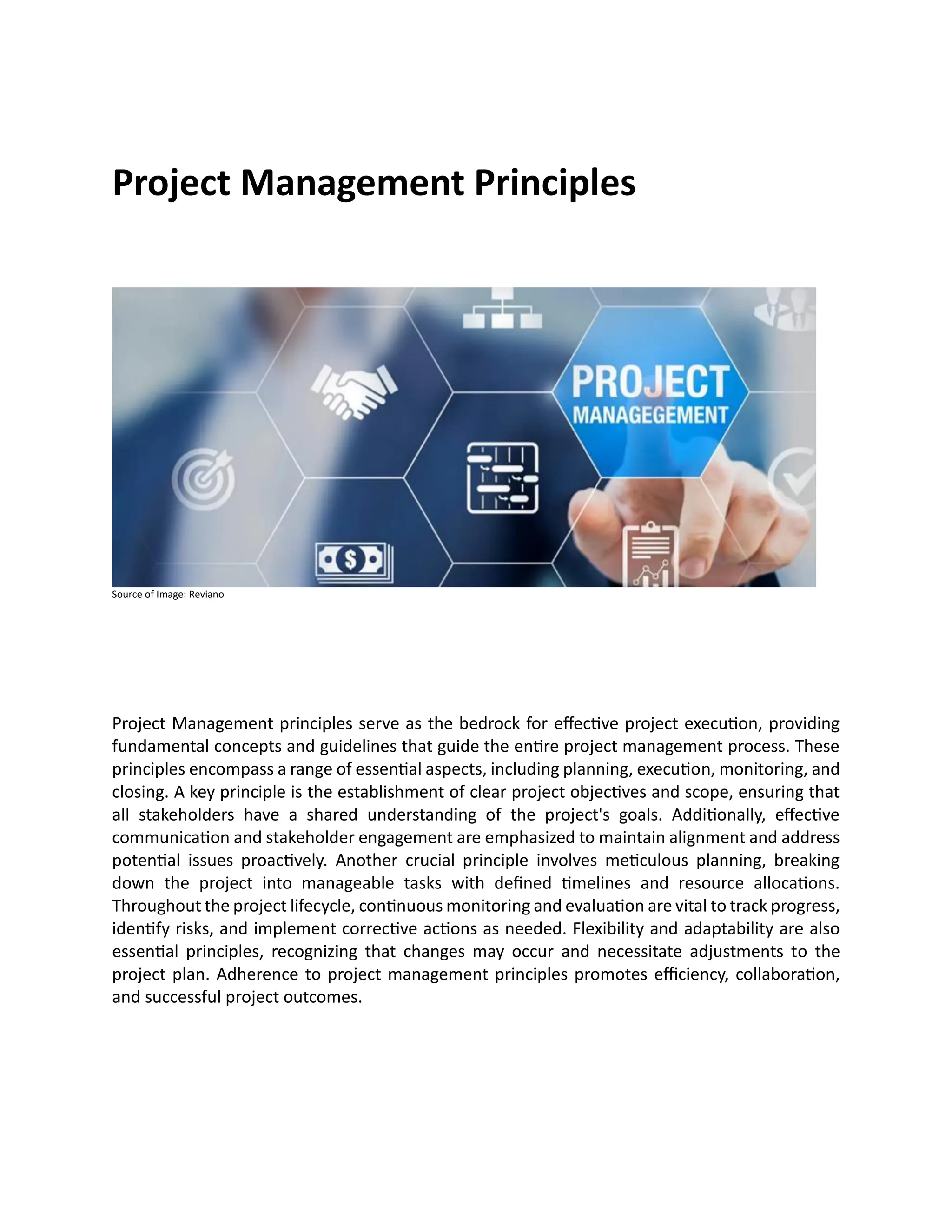 Project Management Principles: Key to Success | PDF