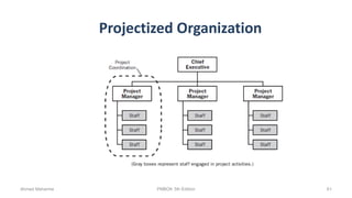 Project Management Professional (PMP) | PDF