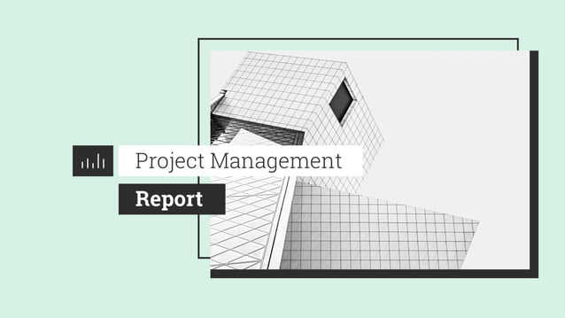 Project Management Report | PDF