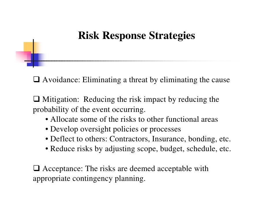 Project Management Risks Review