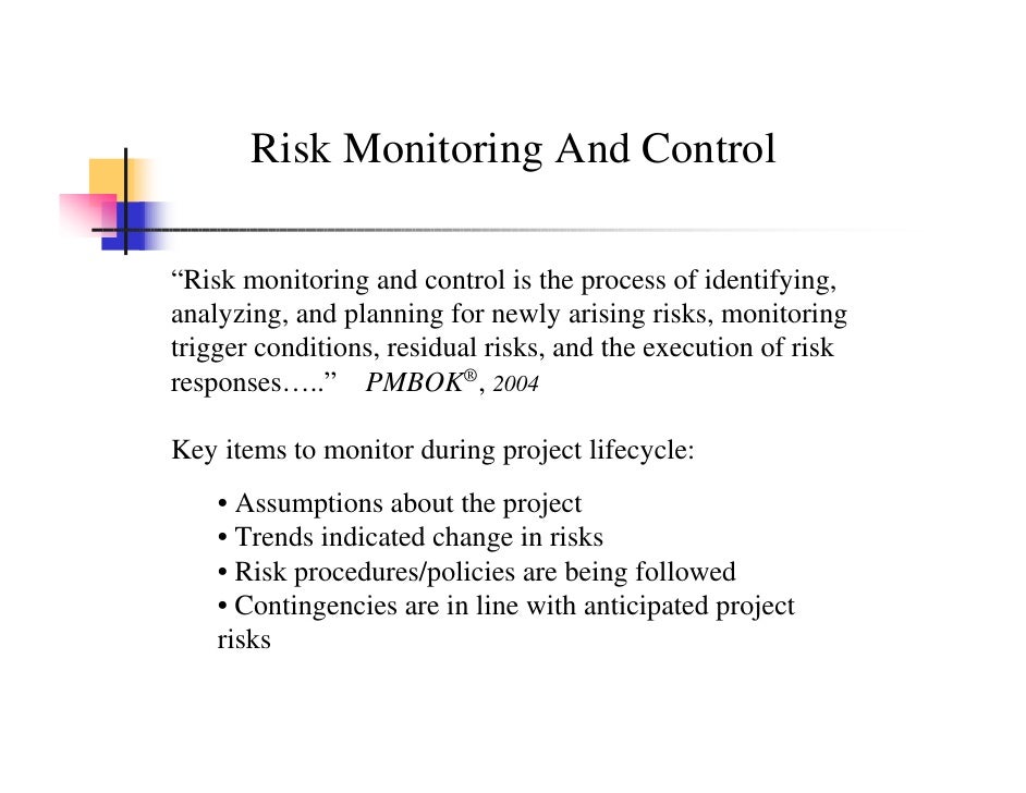 Project Management Risks Review