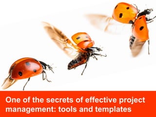 Project management tools and templates | PPT | Free Download