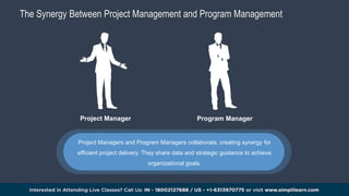 Project Manager vs Program Manager - What’s the Difference ? | Project ...