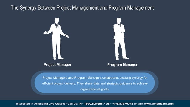 Project Manager vs Program Manager - What’s the Difference ? | Project ...