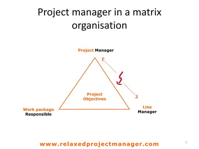 Projectmanager in a matrix organisation | PPT