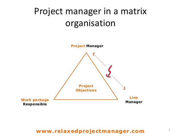 Projectmanager in a matrix organisation