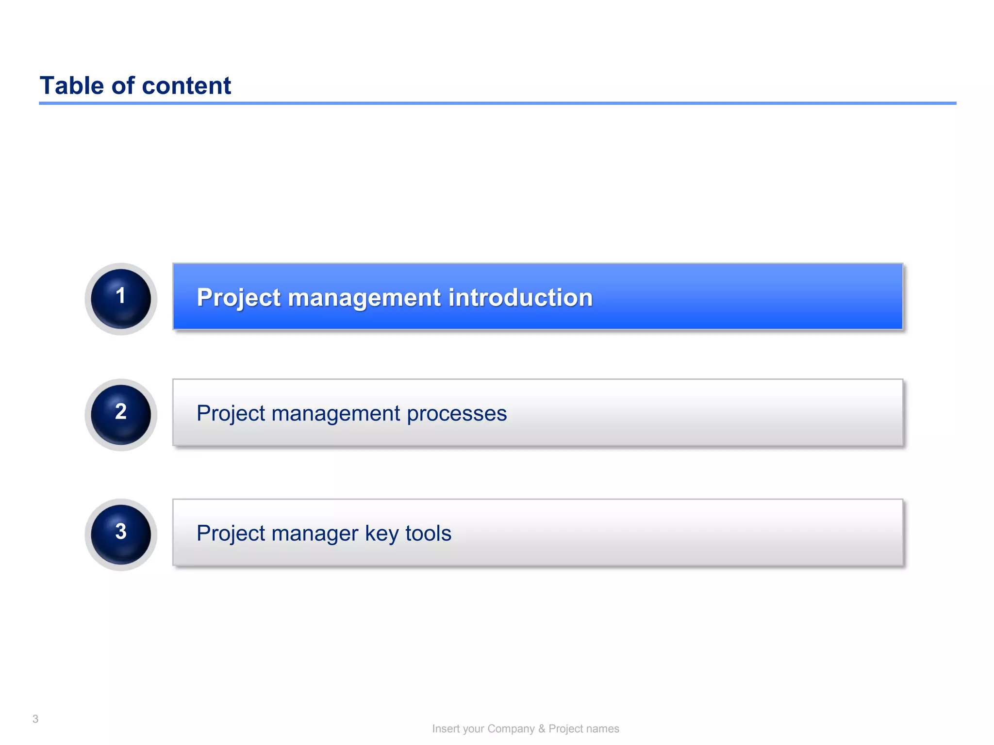 Project Manager Toolkit in Powerpoint & Excel | PDF