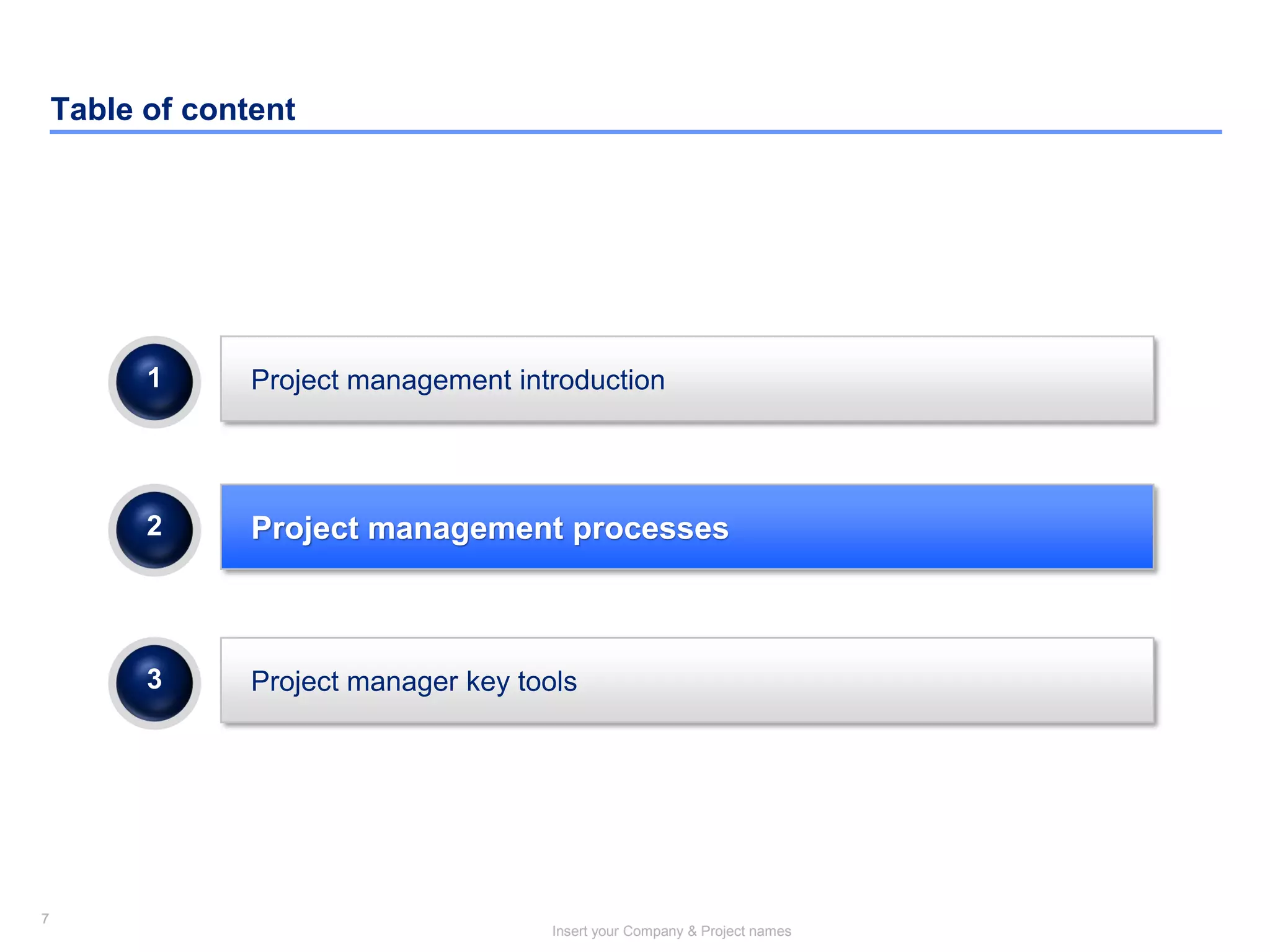 Project Manager Toolkit in Powerpoint & Excel | PDF