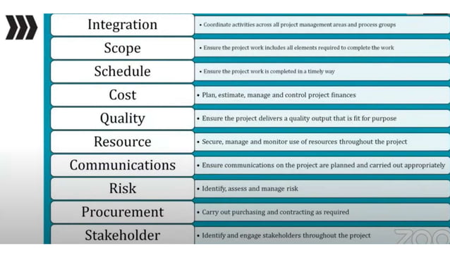 Project Mangement | PPTX | Business | Business and Finance