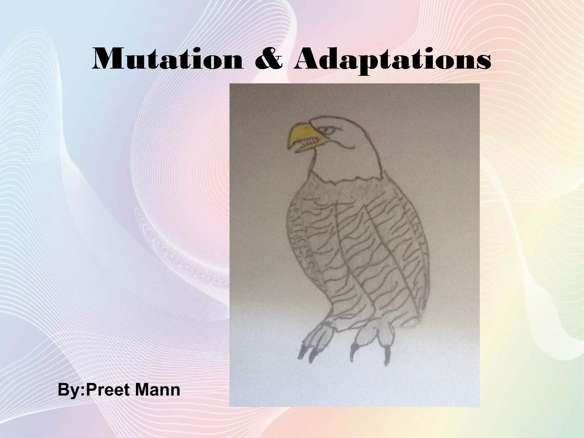 Mutation Project | PPT | Birds | Pets