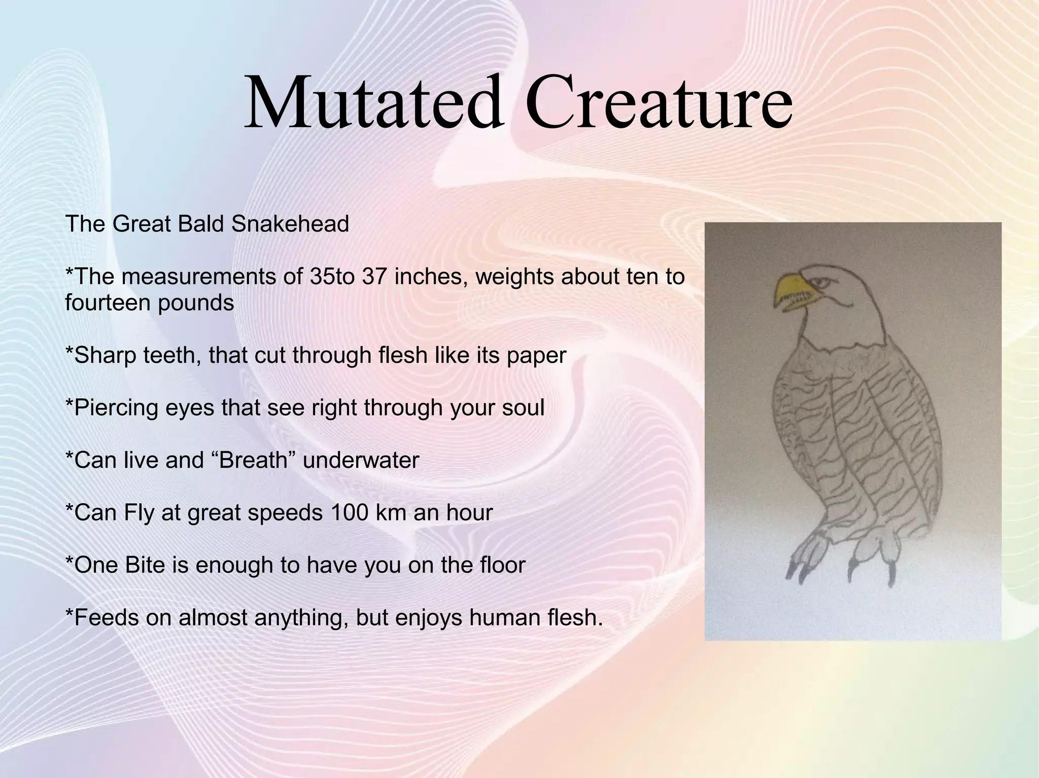 Mutation Project | PPT | Birds | Pets