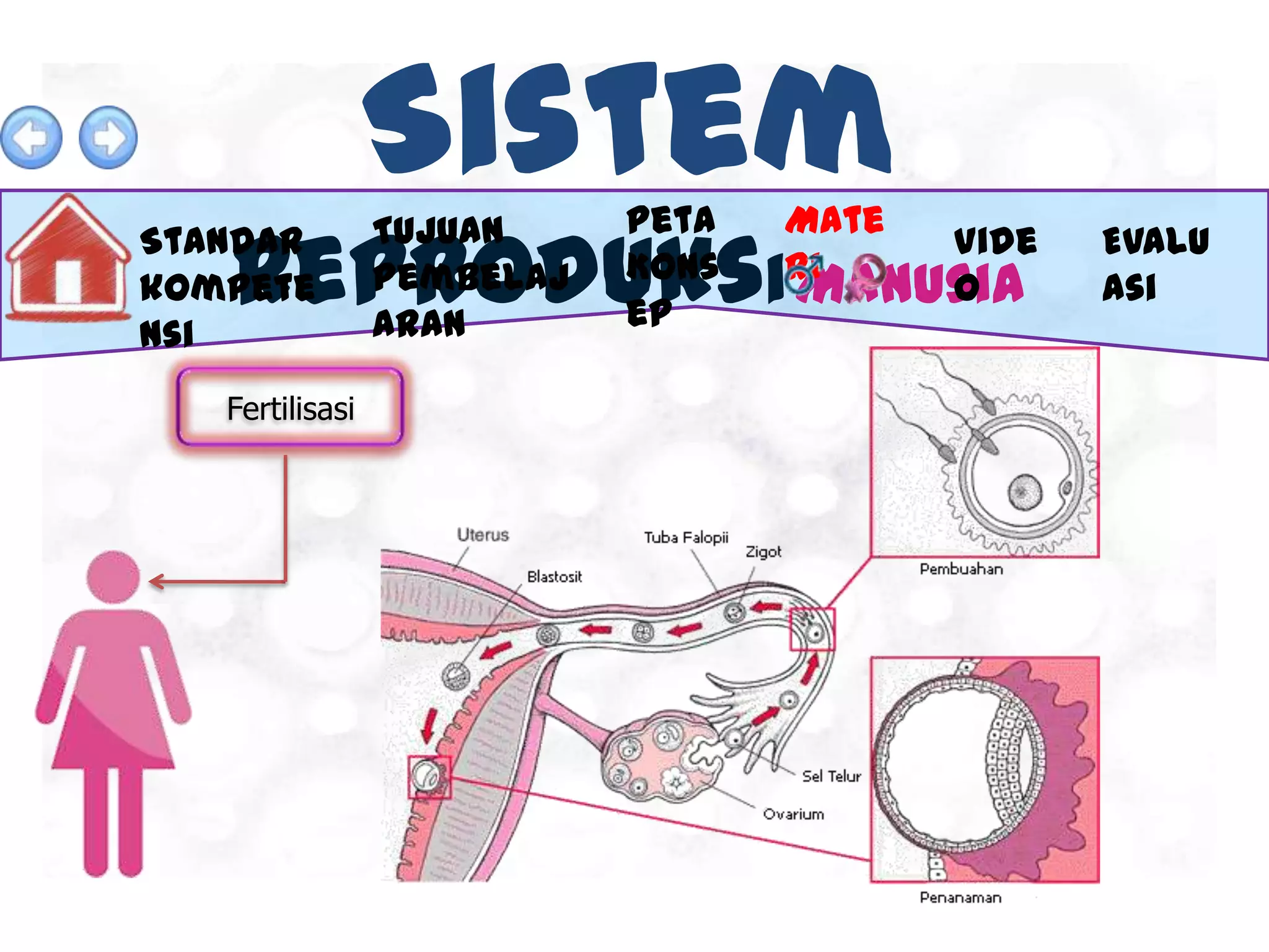 Power Point Interaktif Sistem Reproduksi Manusia | PPSX