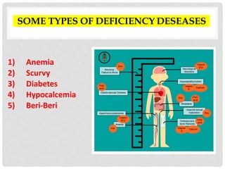Project on deficiency diseases by naisha beri, class-5 a | PPT