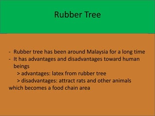 ENBE powerpoint 1 | PPTX