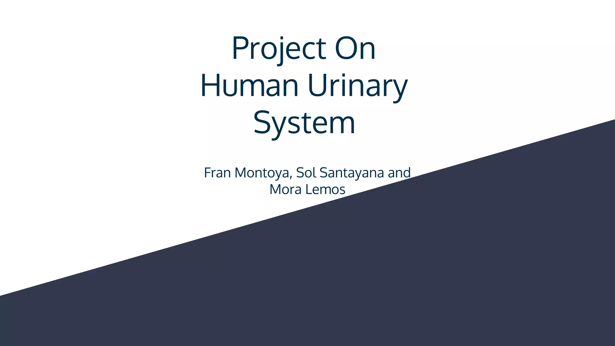 Project On Human Urinary System - Presentacion | PDF