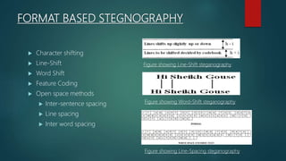steganography and watermarking | PPTX