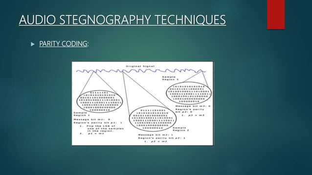 steganography and watermarking | PPTX