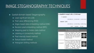 steganography and watermarking | PPTX