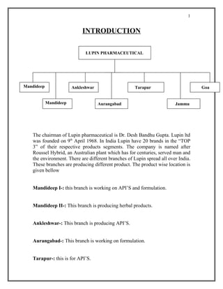 Project on lupin pharmaceutical(3) (1) | DOC