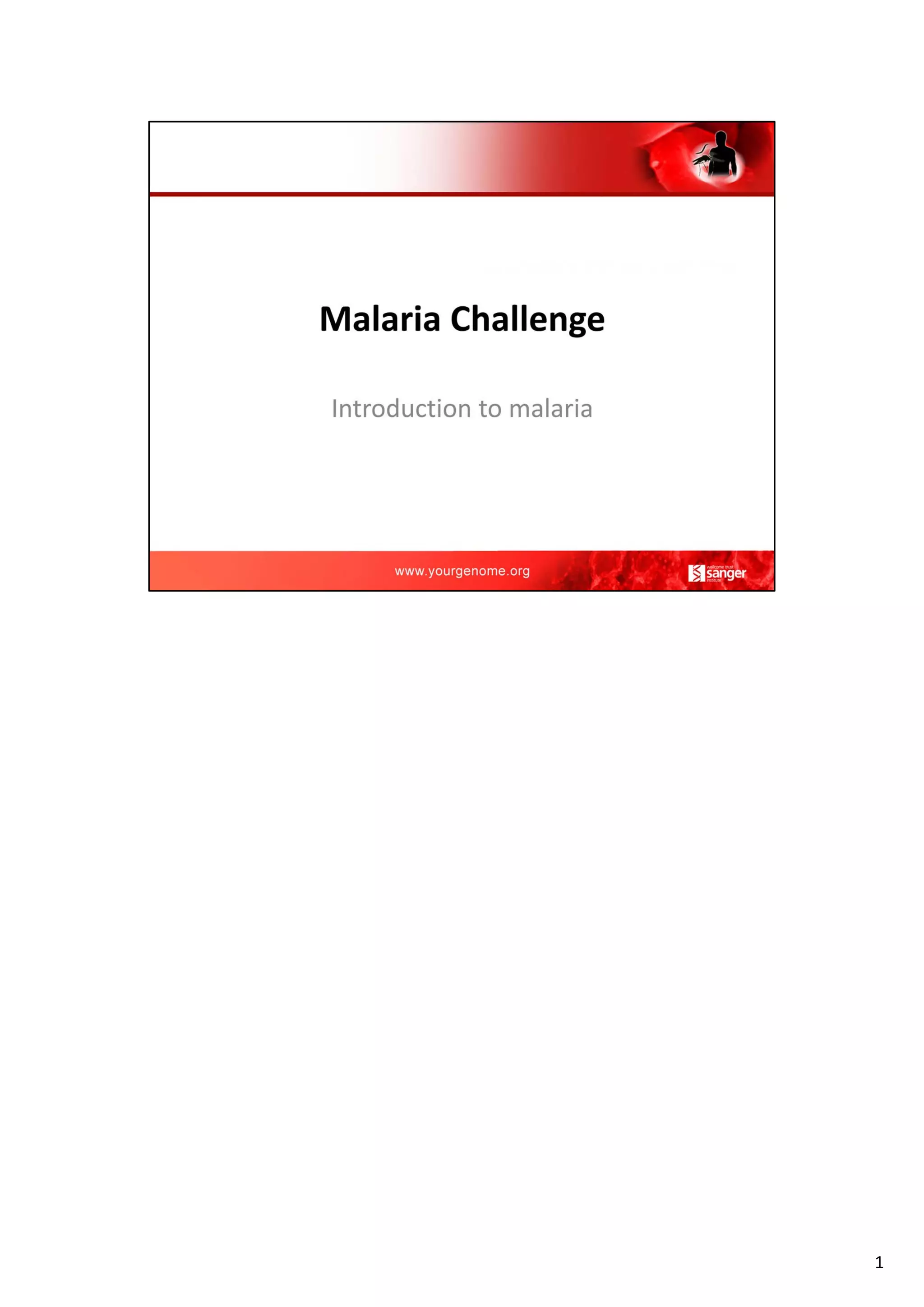 PROJECT ON MALARIA.pdf