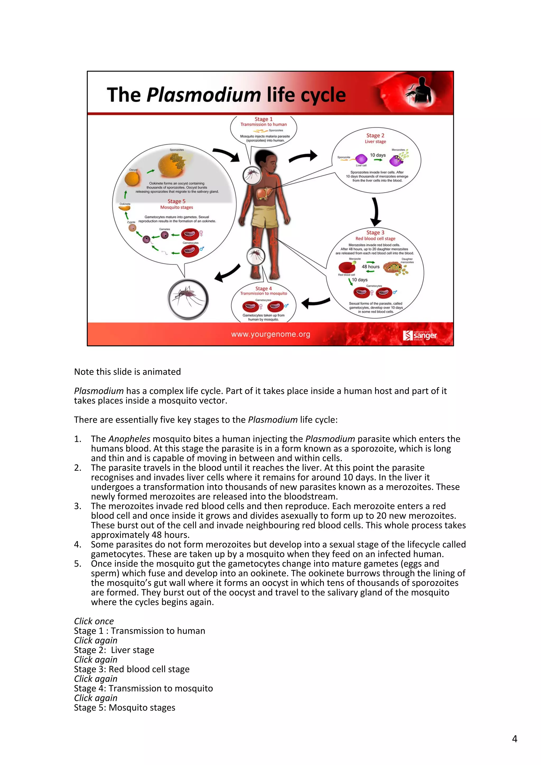 PROJECT ON MALARIA.pdf