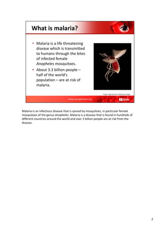 PROJECT ON MALARIA.pdf